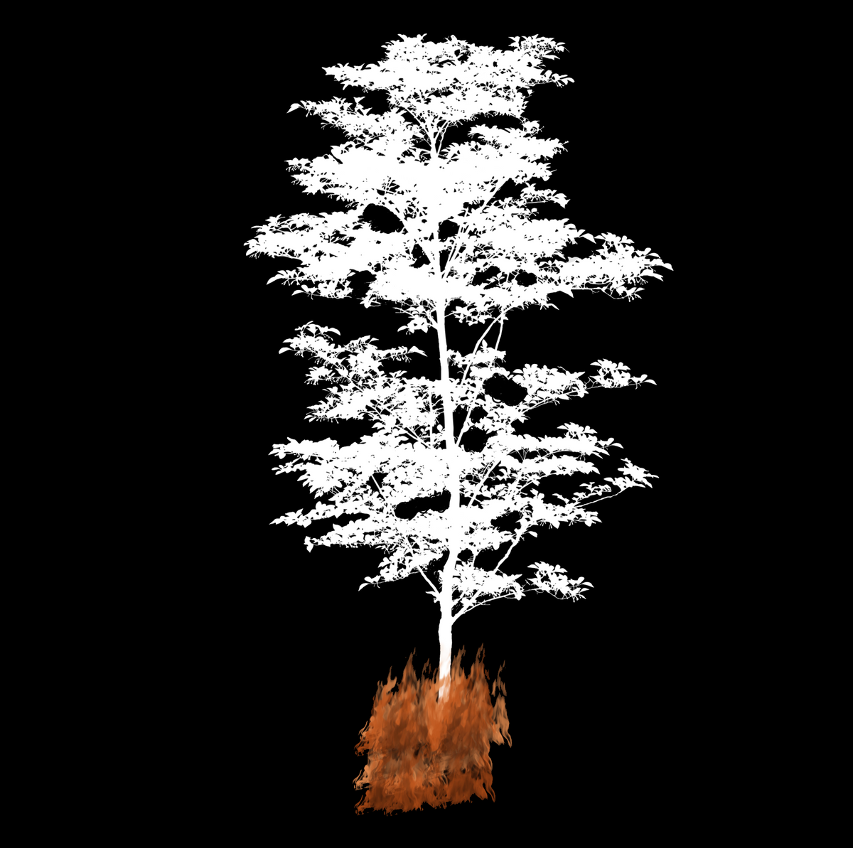 Burn Tree – En Plain Sight